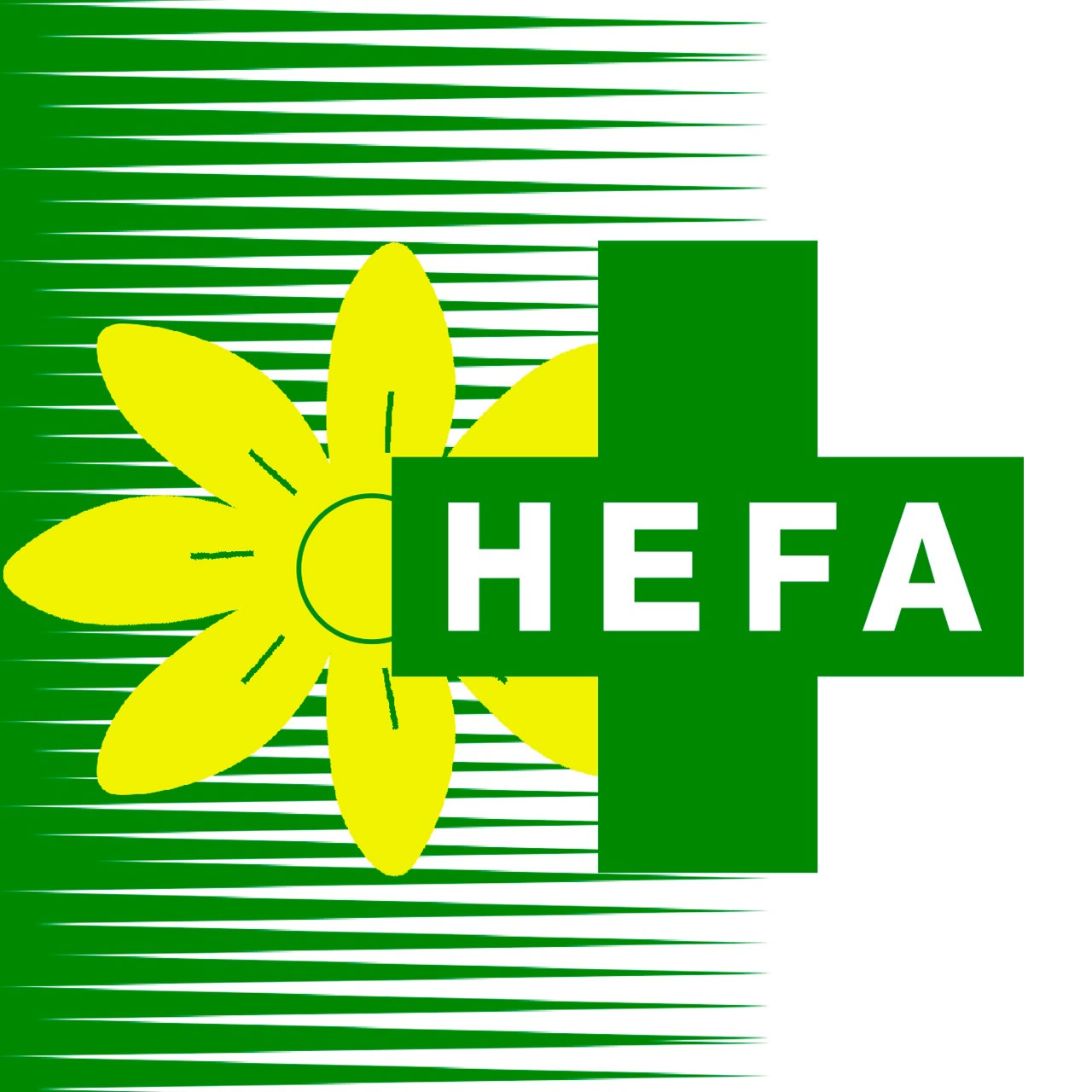 HEFA - Hospital Ester Faria de Almeida